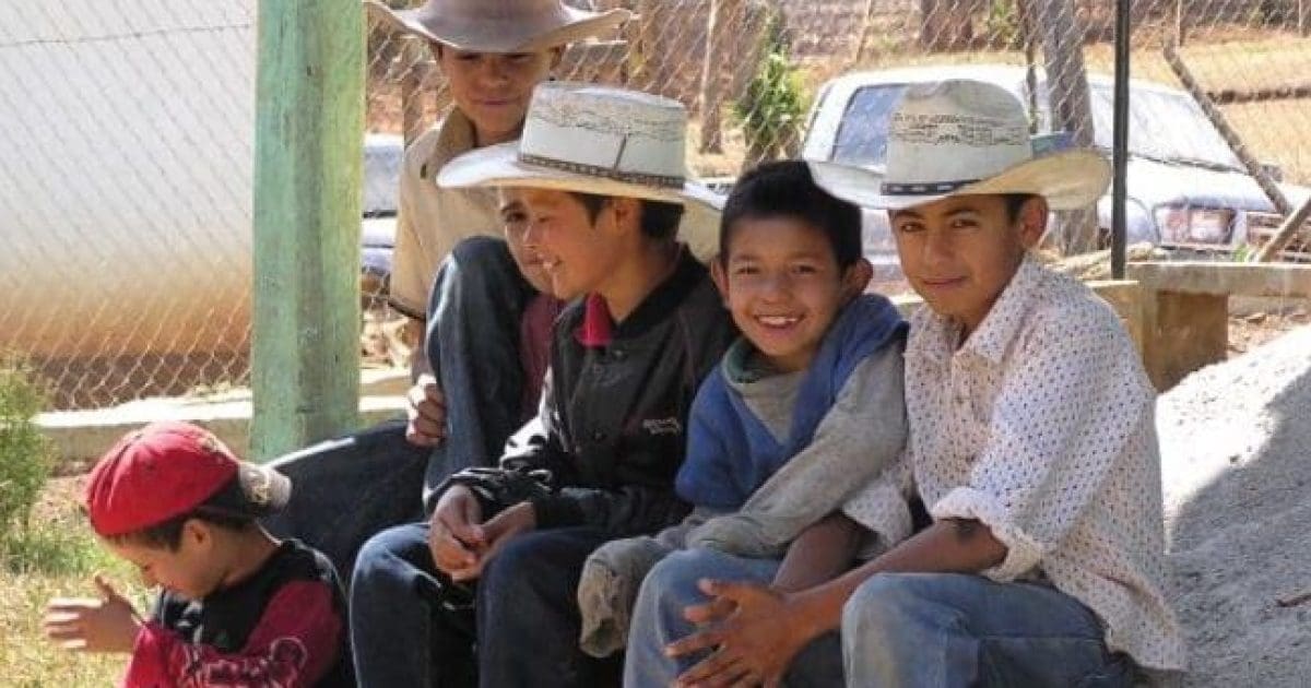 "Kamala Harris Is Running the Largest Child Trafficking Operation in ...