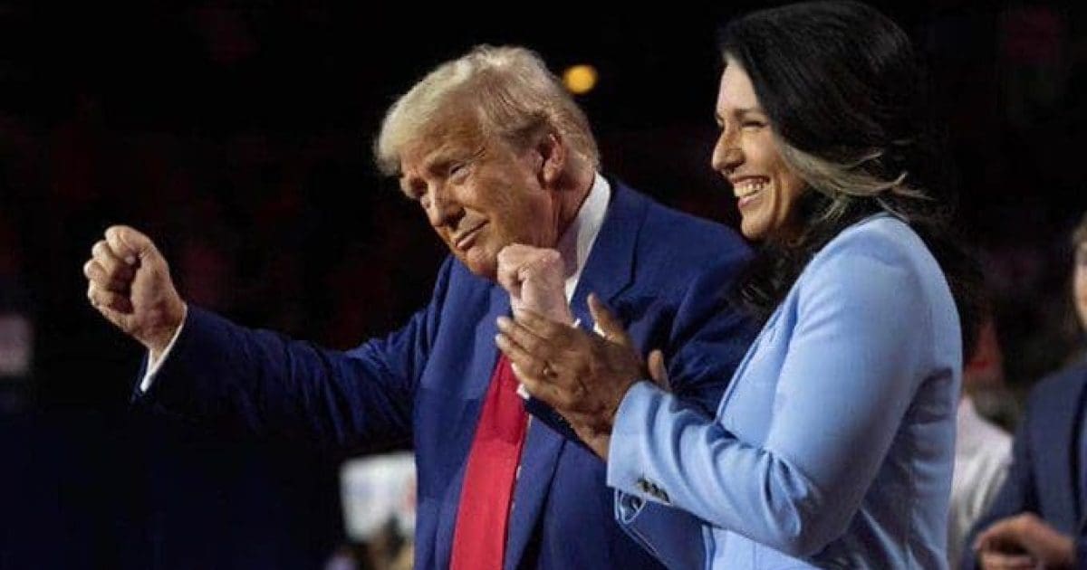 BREAKING: Senate Confirms Tulsi Gabbard as Director of National ...