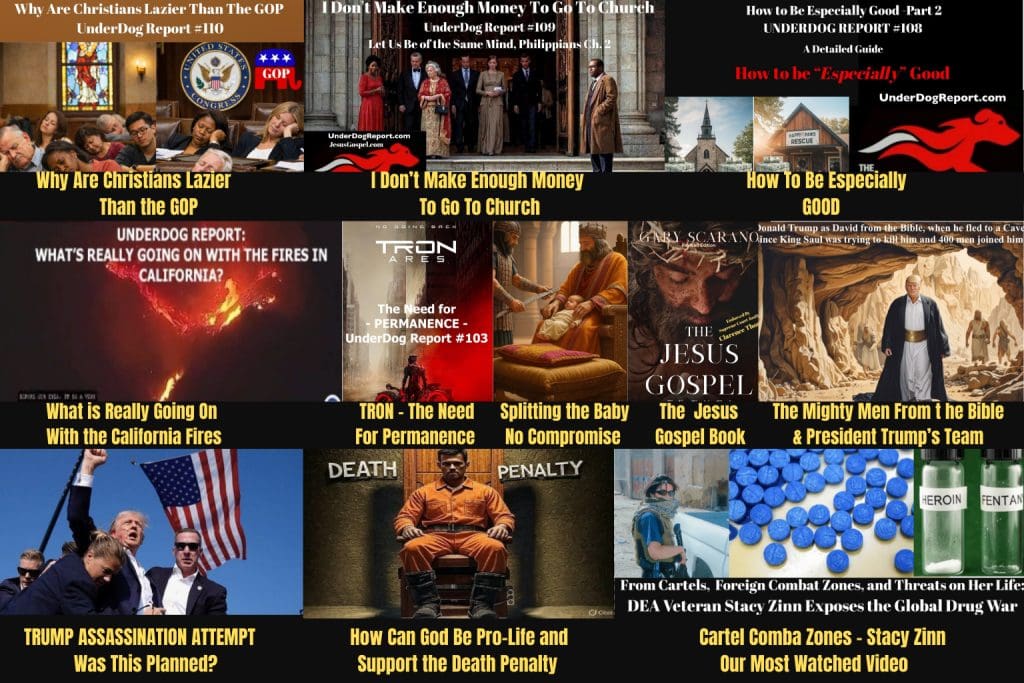 UNDERDOG REPORT #112 - 2025 YEAR IN REVIEW - Joe Hoft