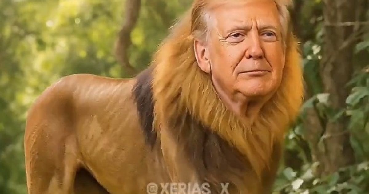 Here's the Entire Video with Trump the King of the Jungle - Joe Hoft