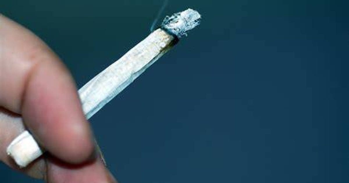New Study - Cannabis Causes Exponential Rise in the ‘Hole in the Heart ...