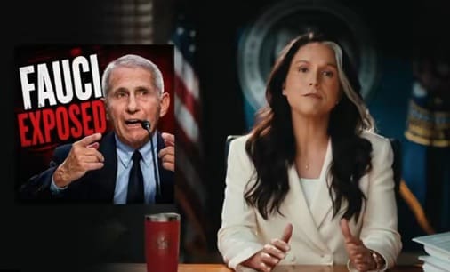 Tulsi Gabbard Releases Damning Evidence of Dr. Fauci's COVID Crimes on ...