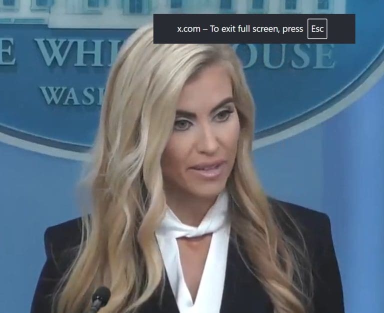 The Haters Went After New White House Press Secretary Katie Zacharia